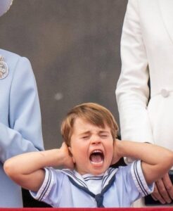 Funny Prince Louis Home Alone Memes Go Viral As He Misses Out On Queen ...